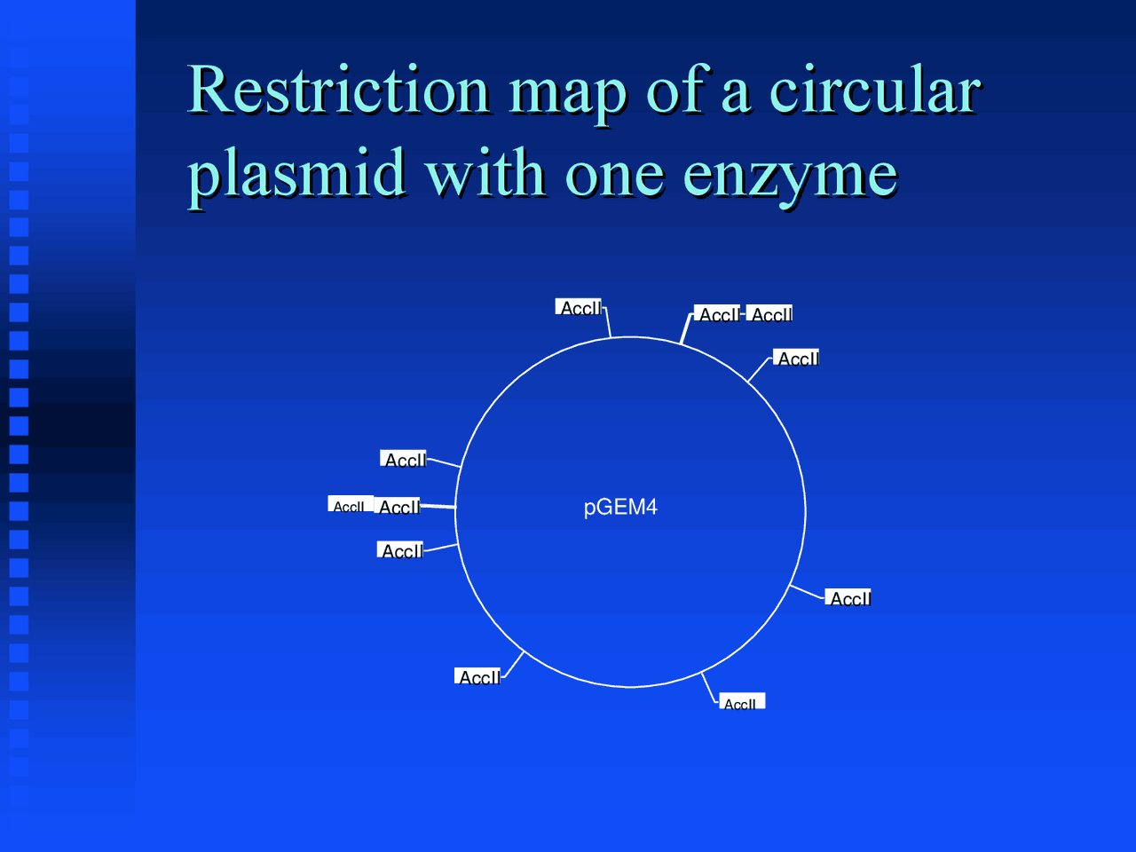 Computational Biology Introduction Lecture Slide Biology 2 Docsity