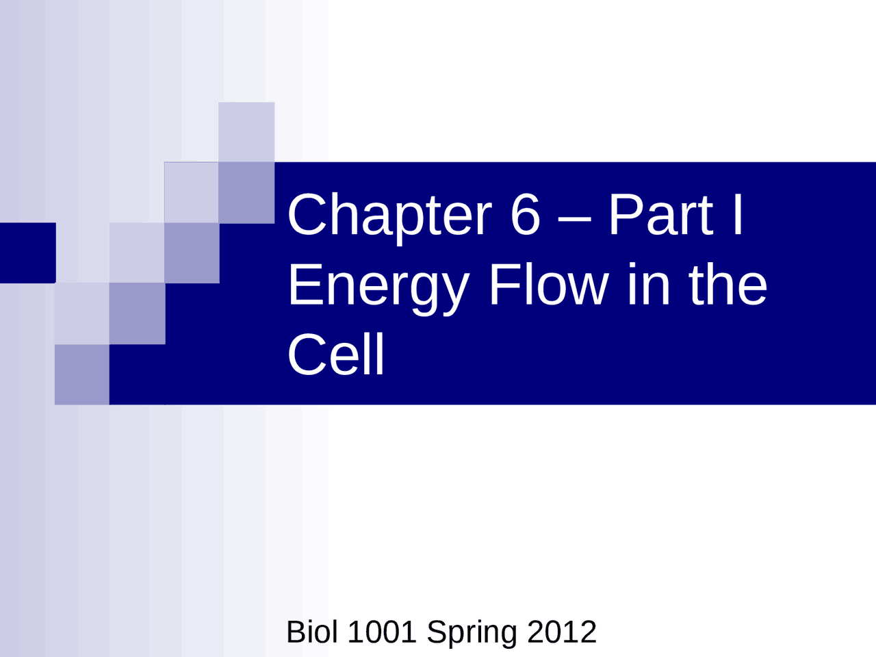 Notes on Energy Flow in Cell - General Biology | BIOL 1001 - Docsity