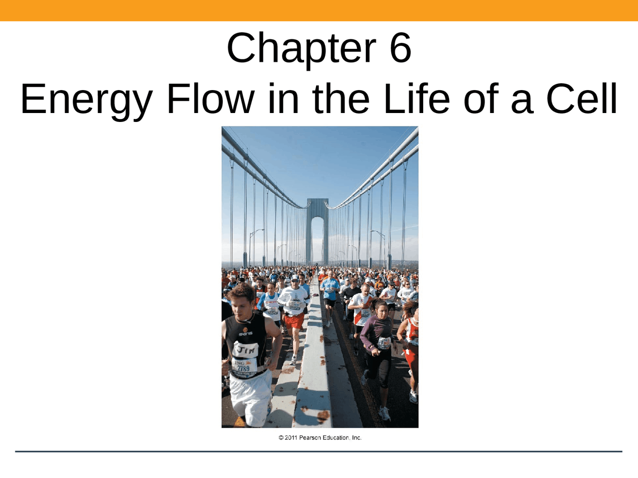 Energy Flow in the Life of a Cell - Lecture Slides | BIOL 1001 | Study ...