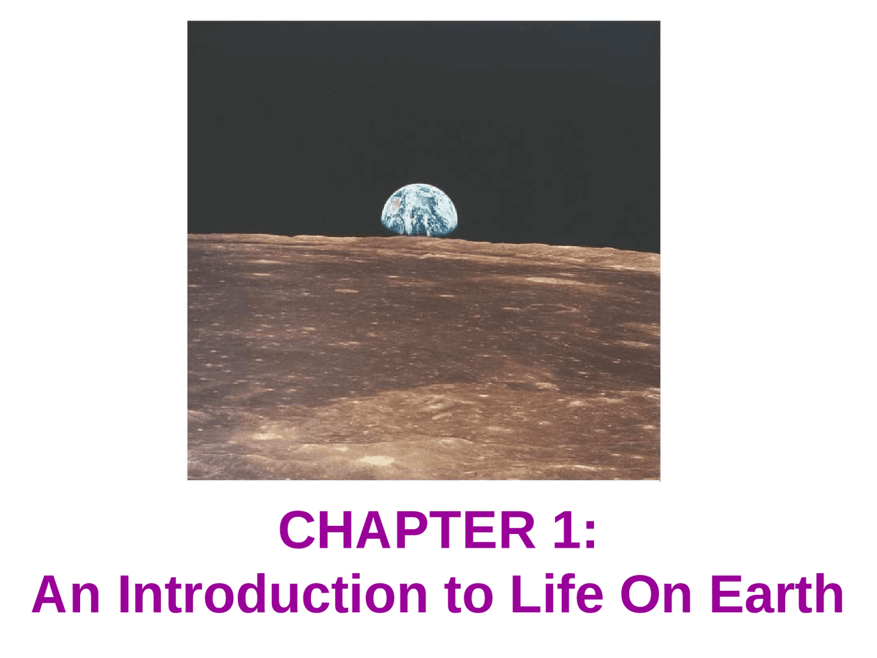 An Introduction to Life on Earth - General Biology - Lecture Slides ...
