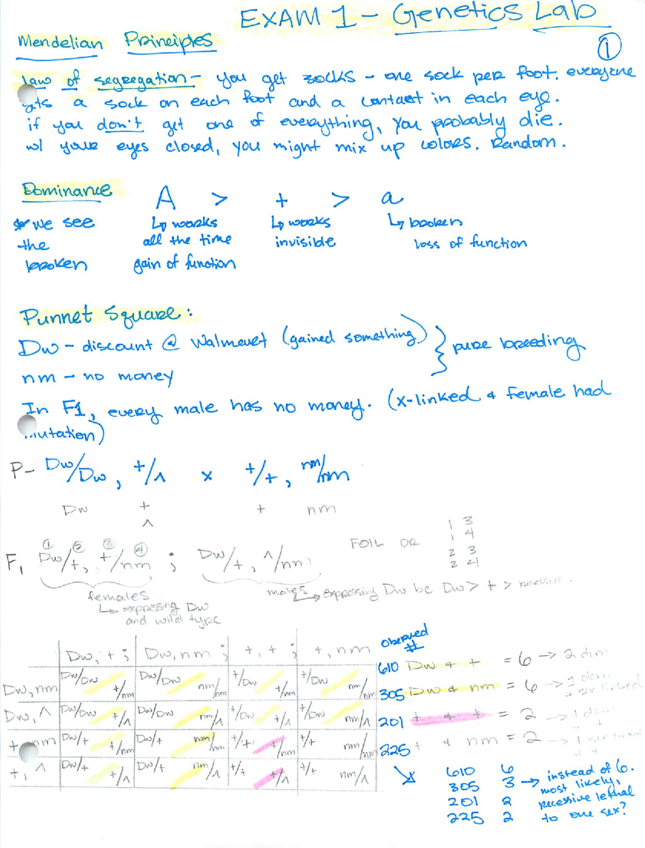 Genetics Lab Exam I Review - Genetics Laboratory | BIO 2322 - Docsity