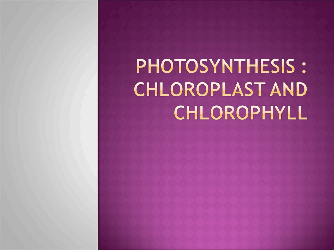 Photosynthesis: Chloroplast and Chlorophyll - Slides | BYS 119L - Docsity