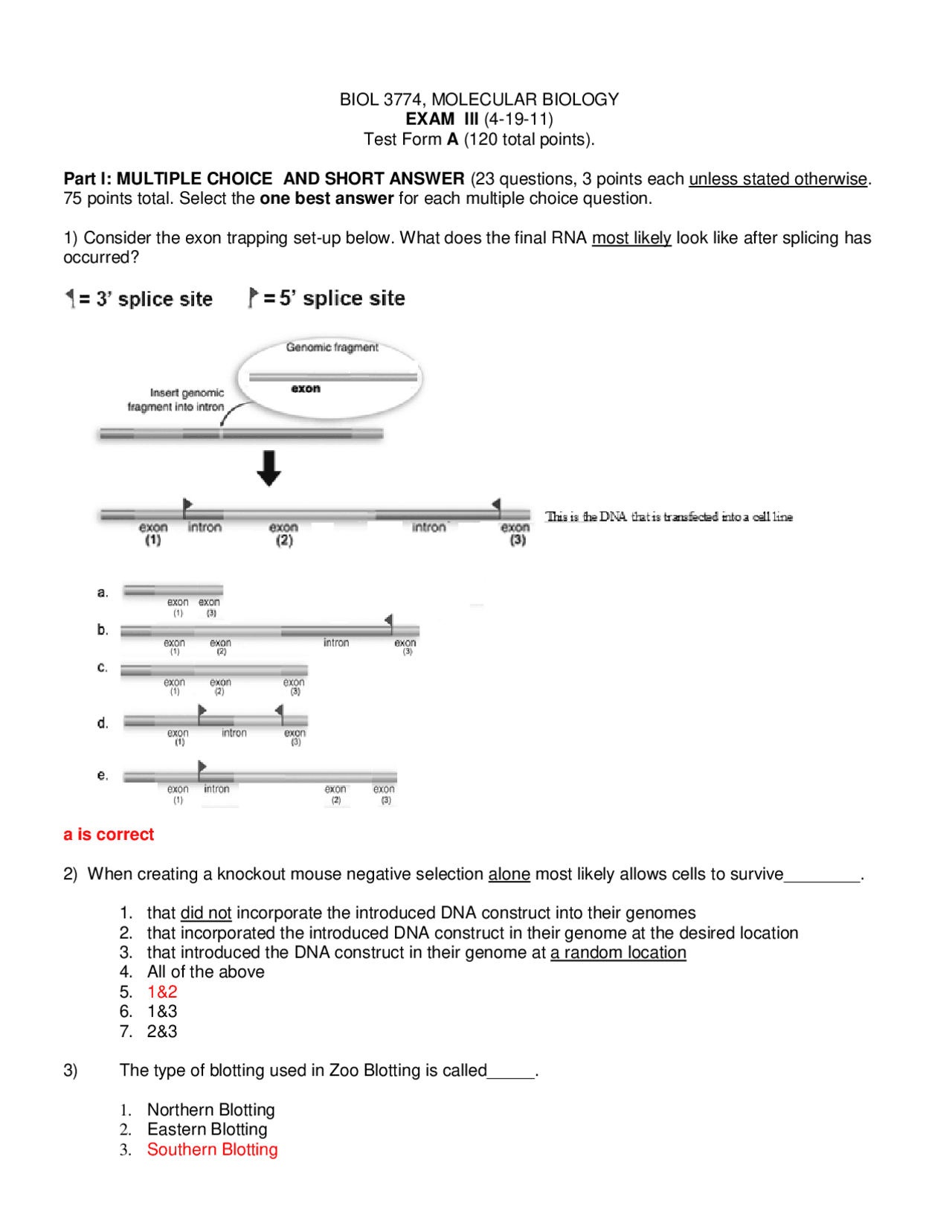 Molecular Biology - Exam 3 with Solutions | BIOL 3774 - Docsity