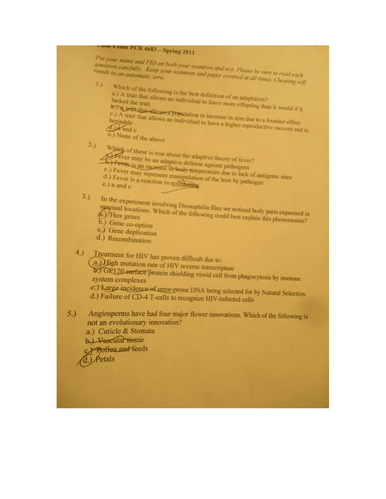 Evolutionary Biology Final Exam Solved Pcb 4683 Docsity