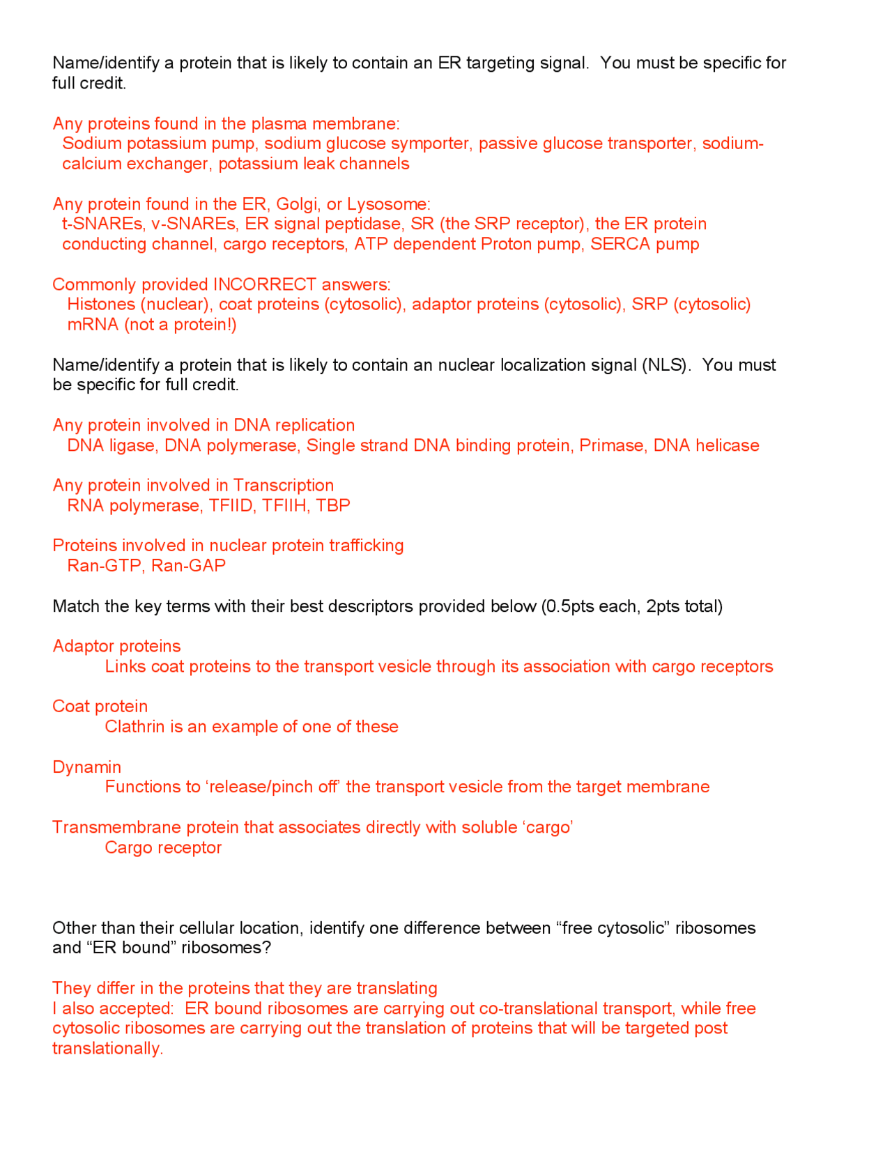 DNA and proteins quiz with solutions | BIO 2103 - Docsity