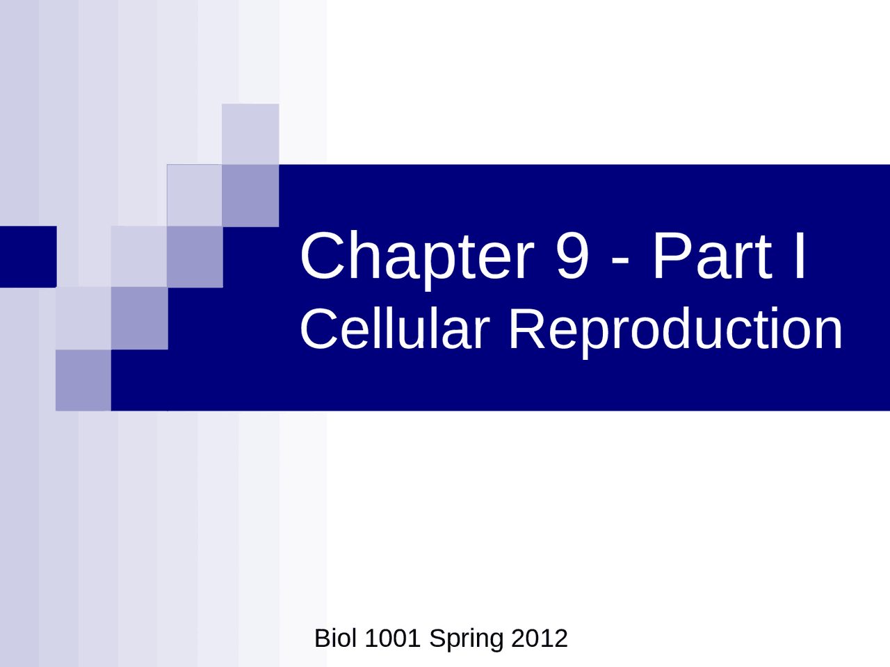 Cellular Reproduction Slides Spring 2012 Biol 1001 Docsity