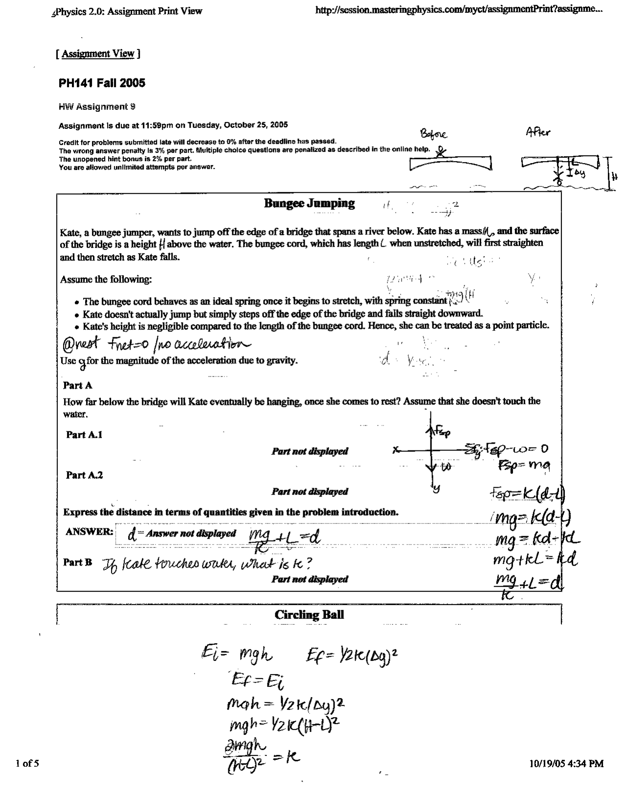 Bungee Jumping - Solutions for Homework 9 | PH 141 - Docsity