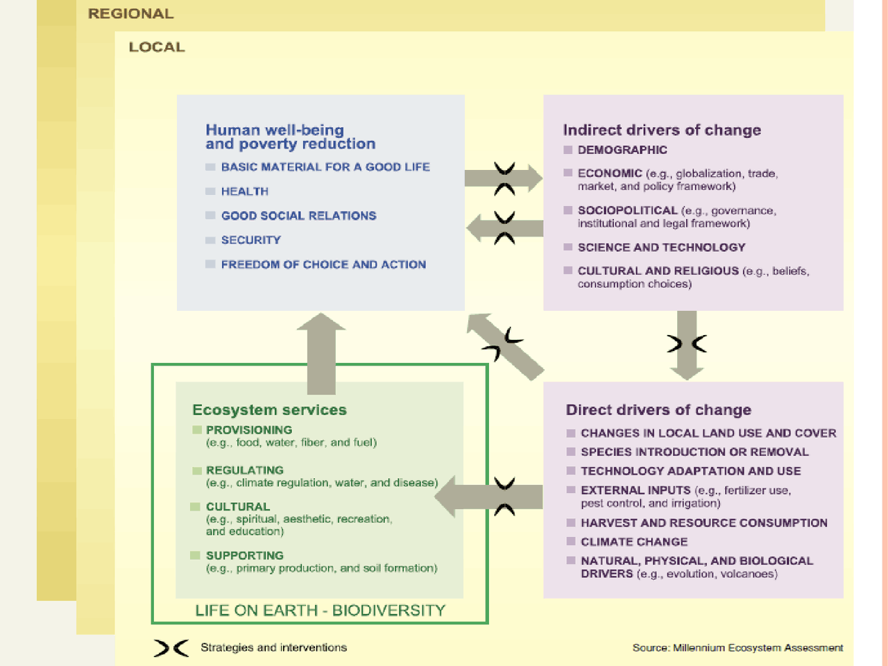 Waste management study notes - Docsity