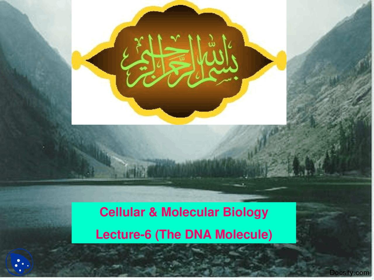 The Dna Molecule Cellular And Molecular Biology Lecture Slides Docsity