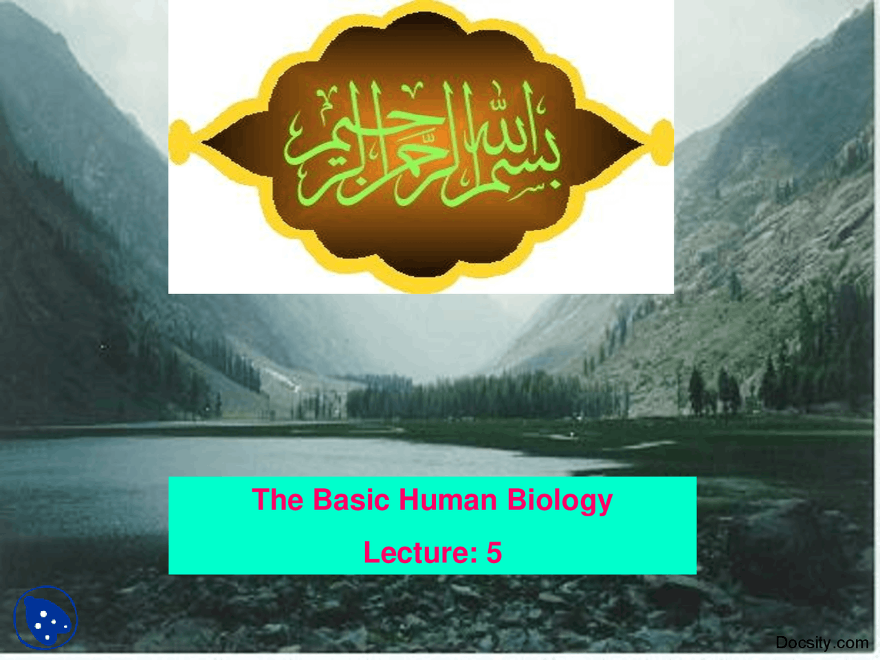 Human Body Tissue-Basic Human Biology-Lecture Slides - Docsity
