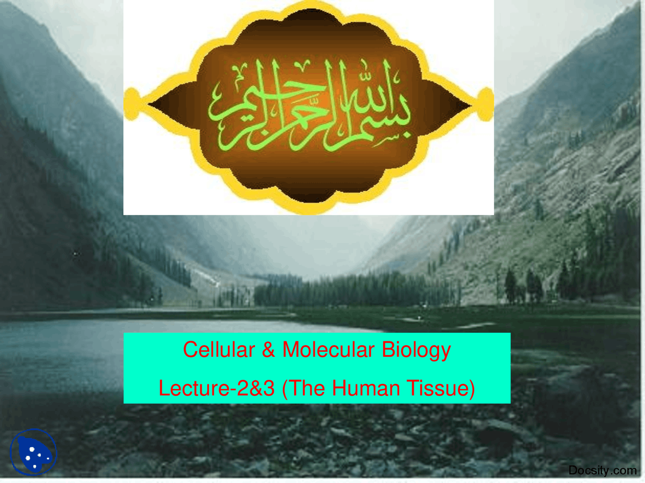 The Human Tissue Cellular And Molecular Biology Lecture Slides Slides