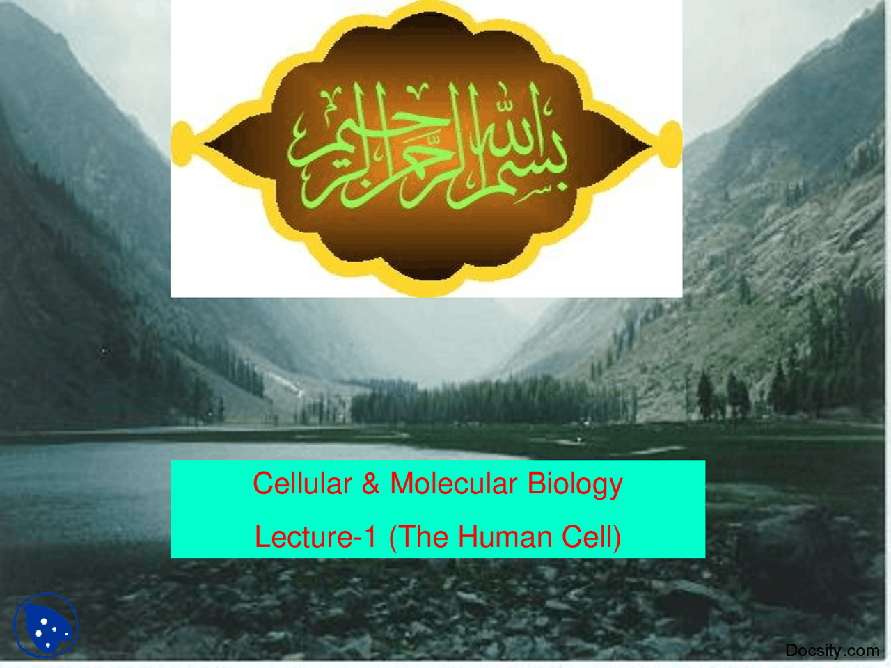 The Human Cell-Cellular and Molecular Biology-Lecture Slides - Docsity