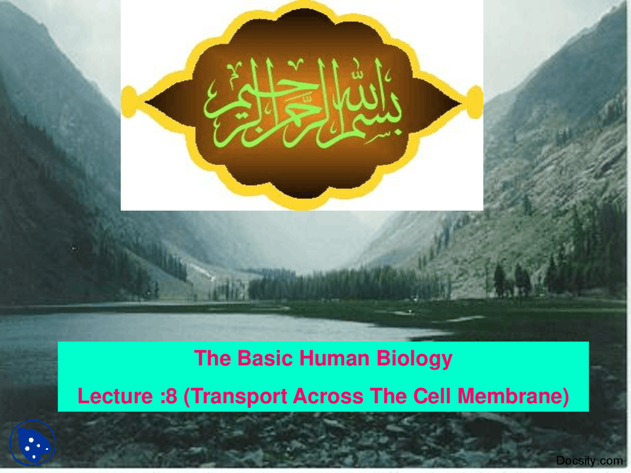 Transport Across The Cell Membrane-Basic Human Biology-Lecture Slides ...