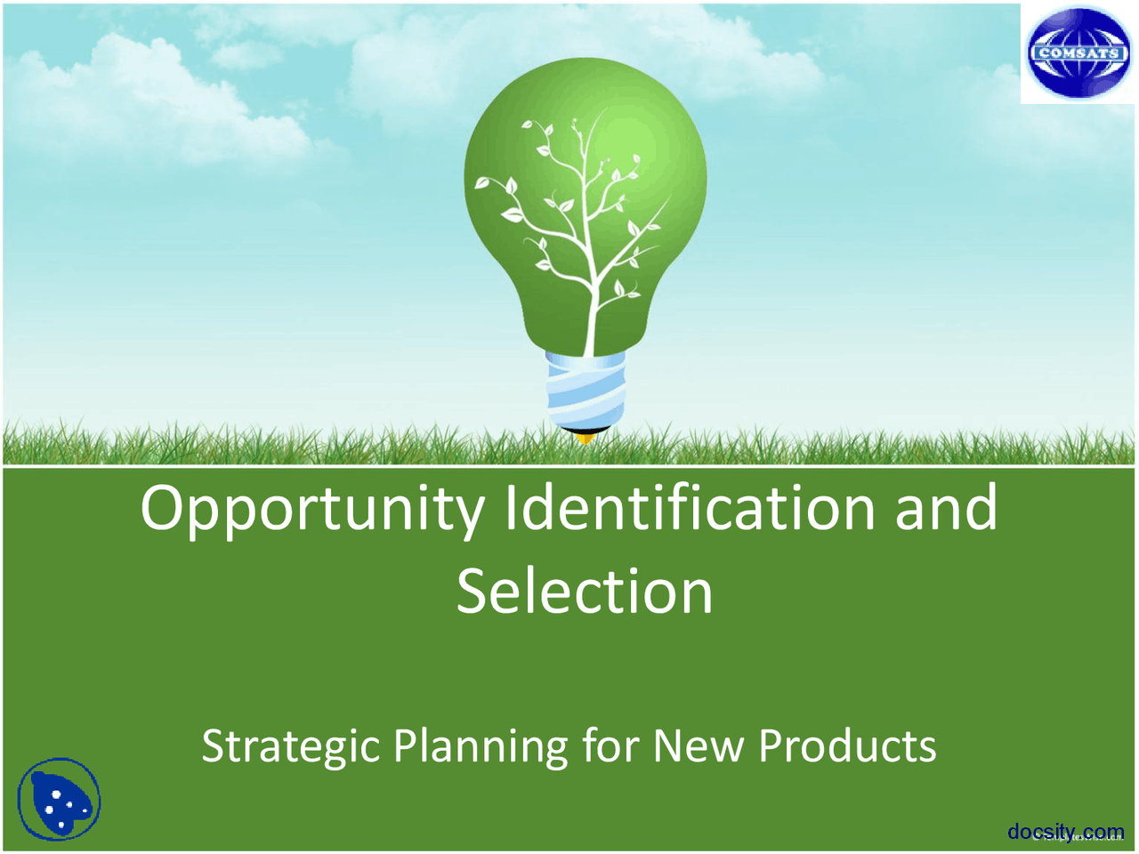 Opportunity Identification and Selection-New Product Development ...