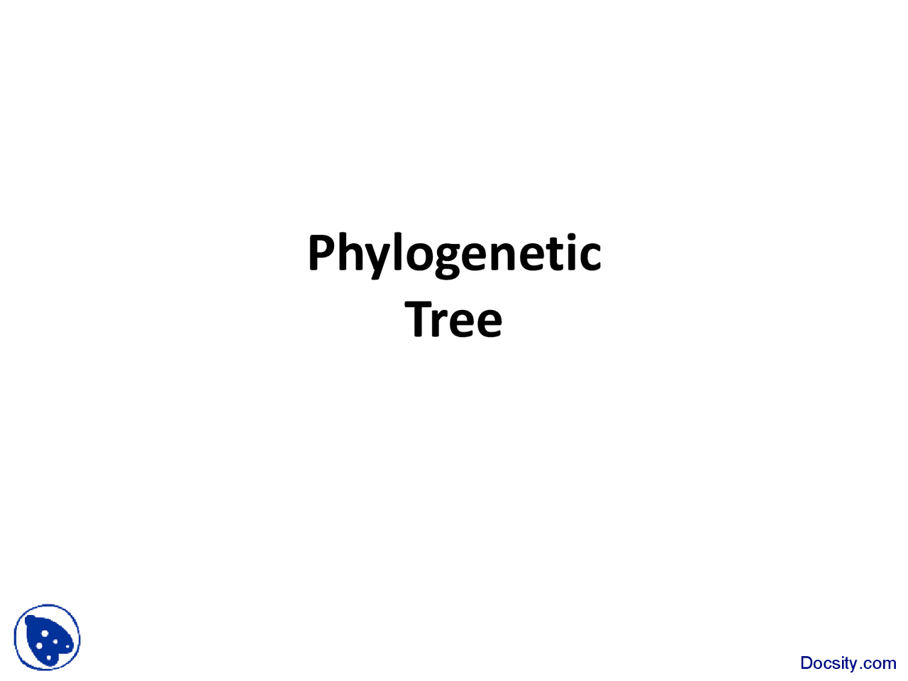 Phylogenetic Tree Phylogentics Lecture Slides Docsity