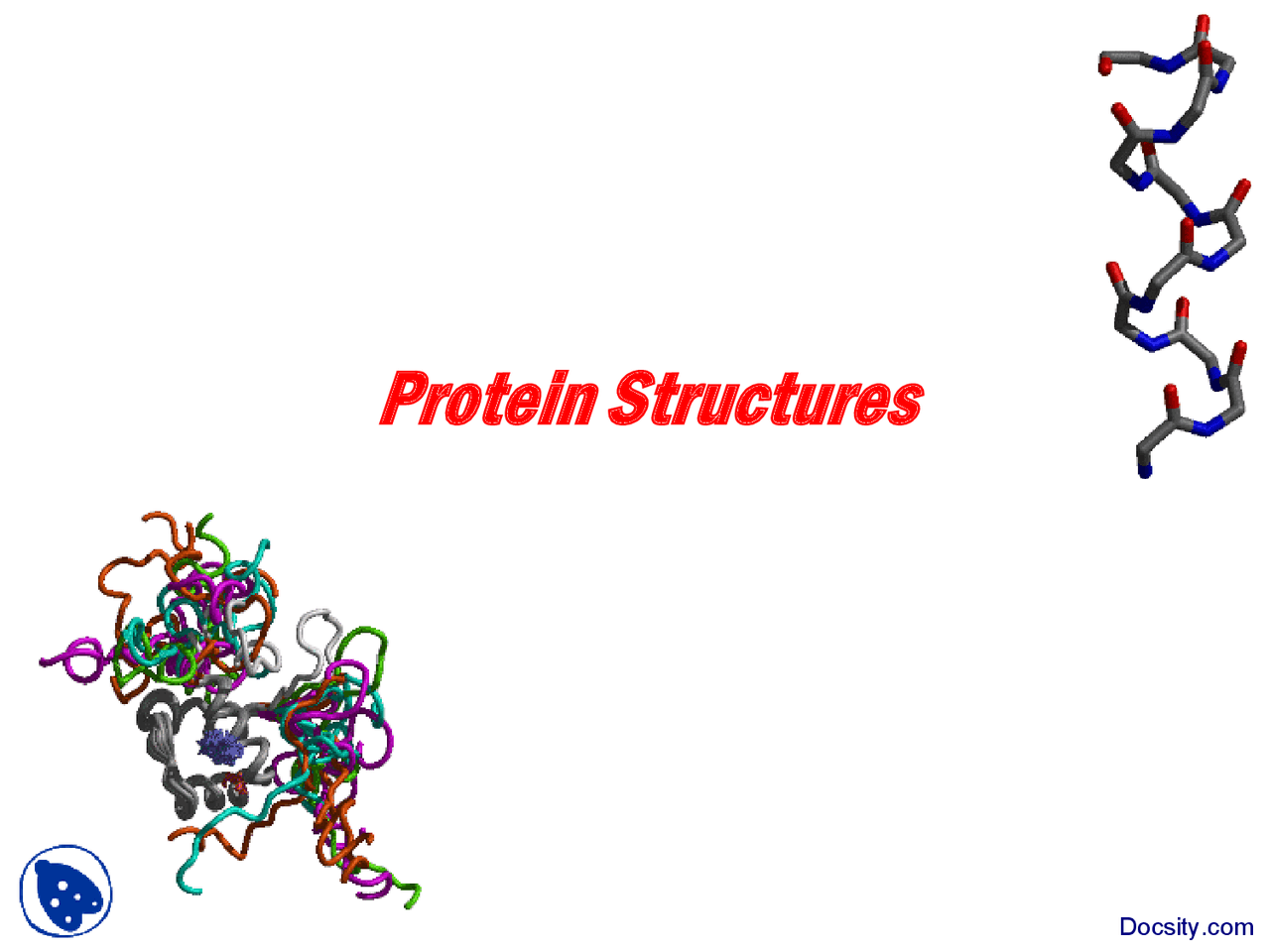 Protein Structures-Human Genetic Molecules-Lecture Slides - Docsity