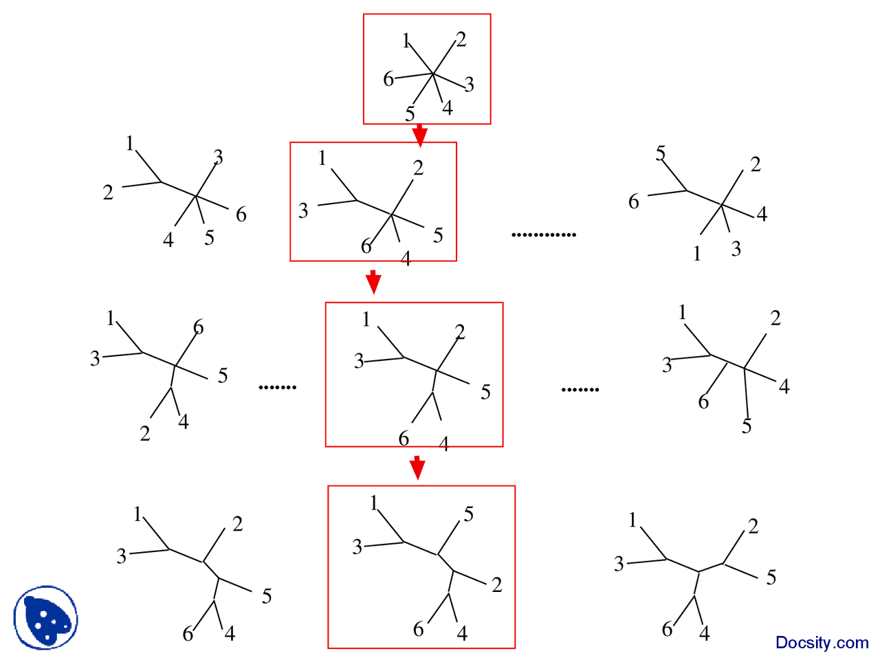 Phylogenetics 2 Phylogentics Lecture Slides Docsity