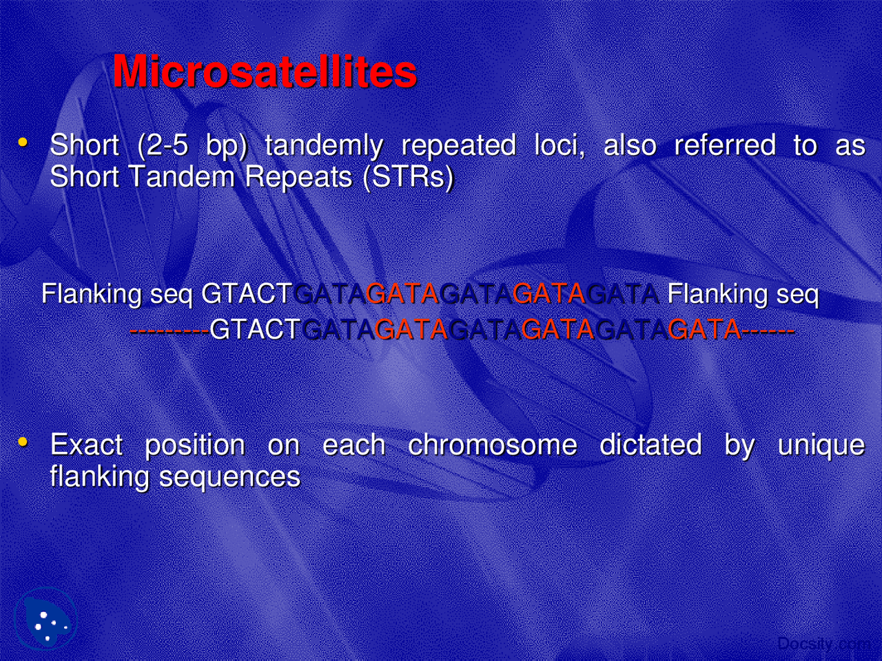 Microsatellites Biogenetics And Computers Lecture Slides Docsity