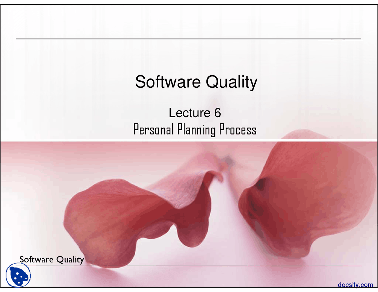Personal Planning Process-Software Quality-Lecture Slides - Docsity