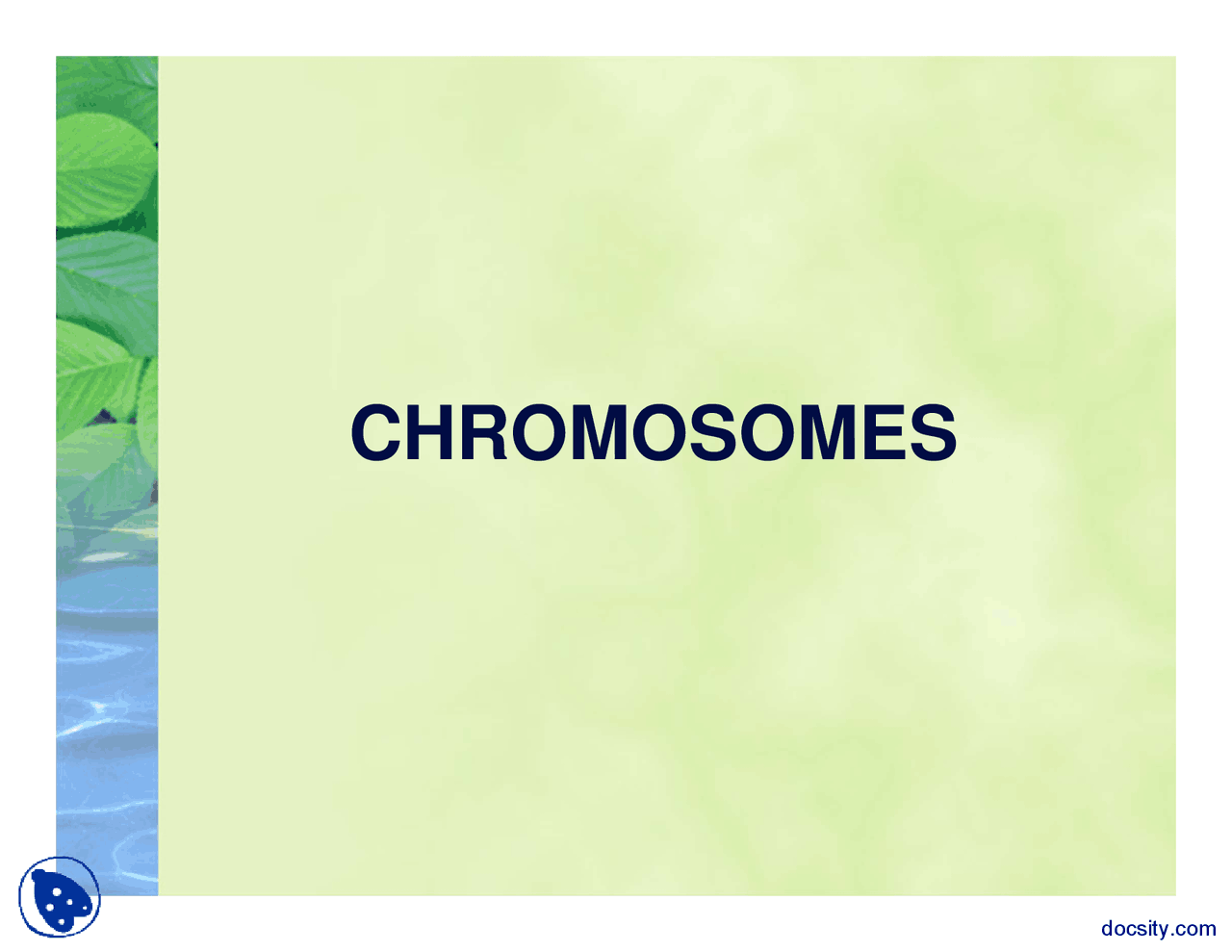 Chromosomes Genetics Lecture Slides Docsity