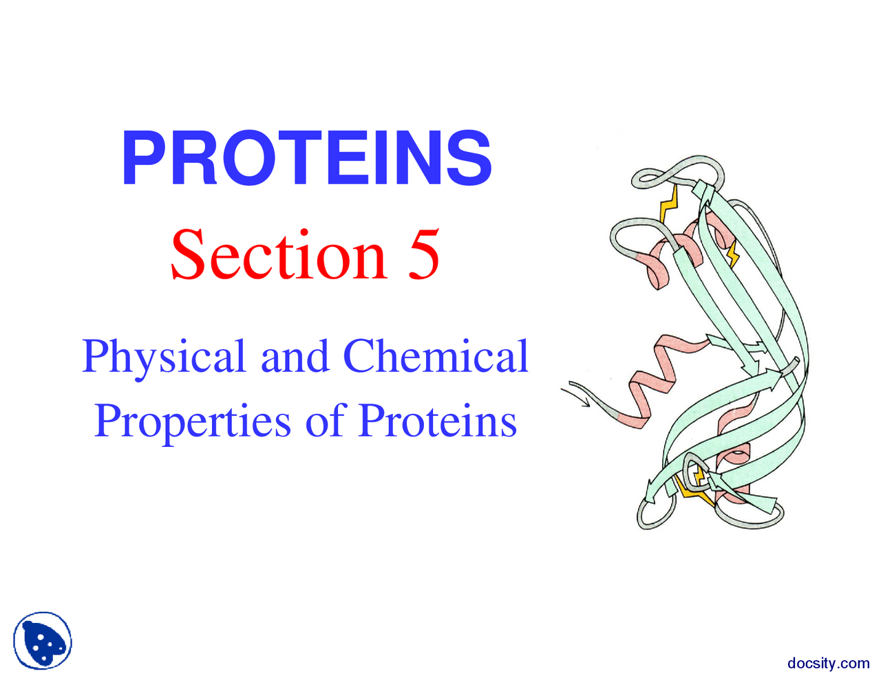 Physical And Chemical Properties Of Proteins Protemics Lecture Slides