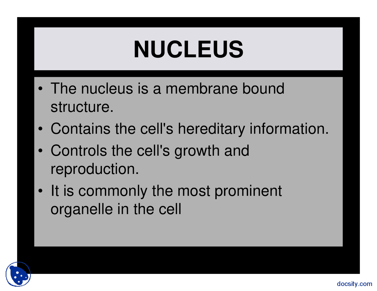 Nucleus-Cell Biology-Lecture Slides - Docsity