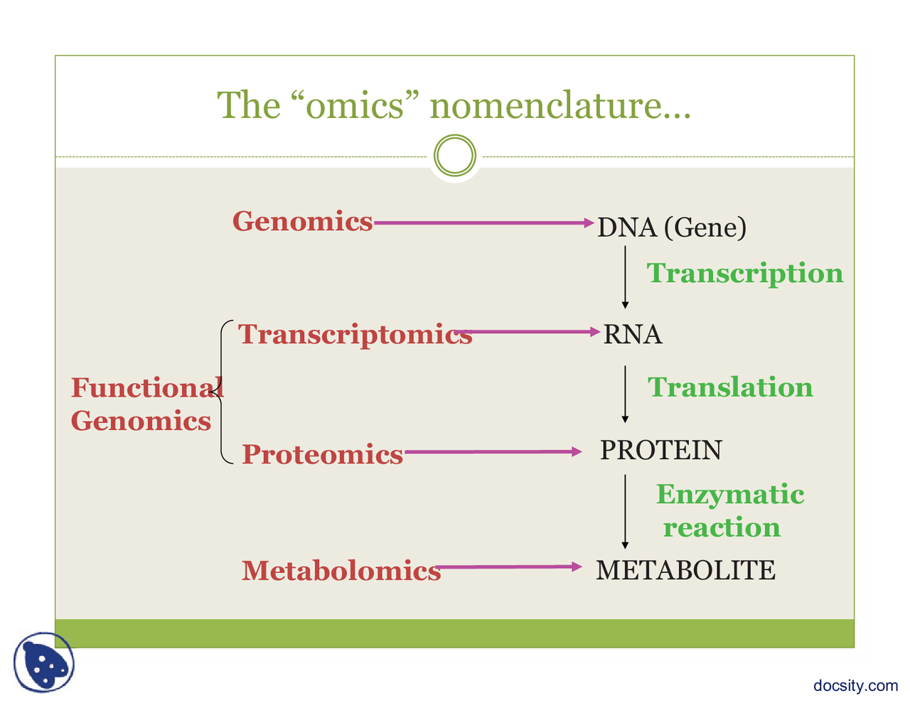 Introduction To Proteome And Proteomics Part 1 Proteomics Lecture Slides Docsity
