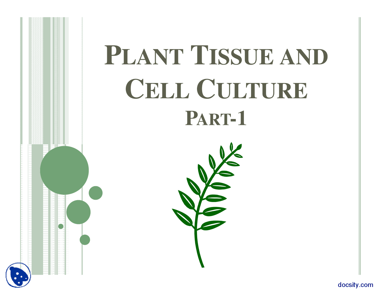 Plant Tissues And Cell Culture Part 1 Botany Lecture Slides Slides
