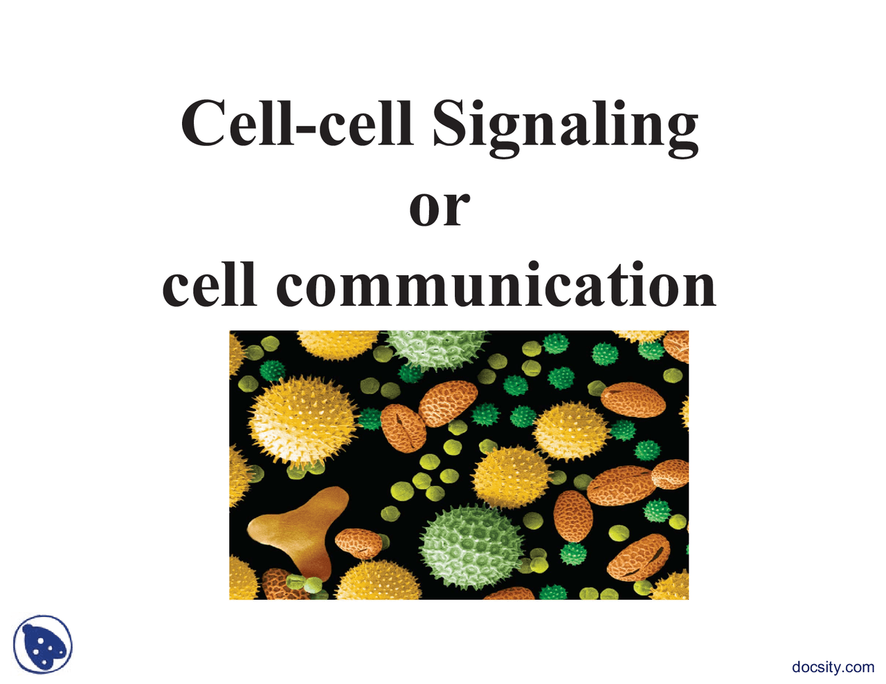 Cell Cell Signaling Part 1 Proteomics Lecture Slides Slides Proteomics Docsity