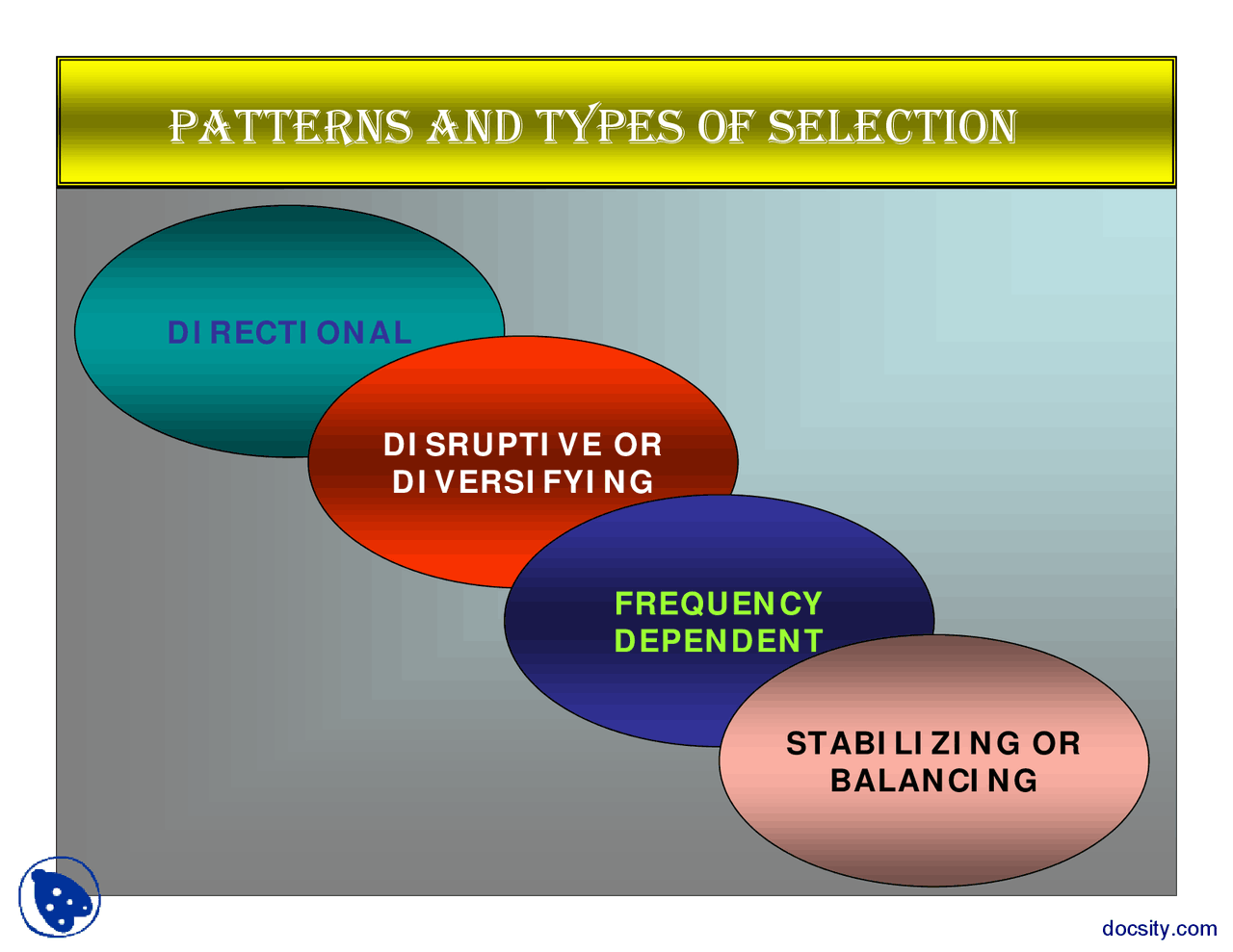 Patterns And Type Of Selection-Cell Biology-Lecture Slides - Docsity