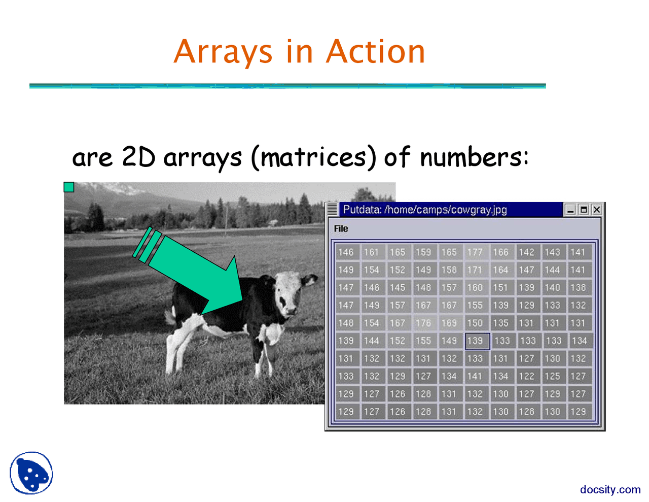 Arrays in Action-Programming-Lecture Slides - Docsity Arrays in Action-Programming-Lecture Slides - Docsity