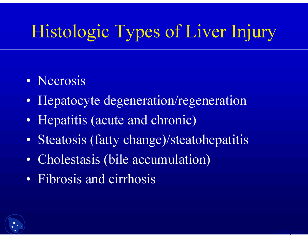 Normal liver Architecture-Medicine And Pathophysiology-Lecture Slides ...