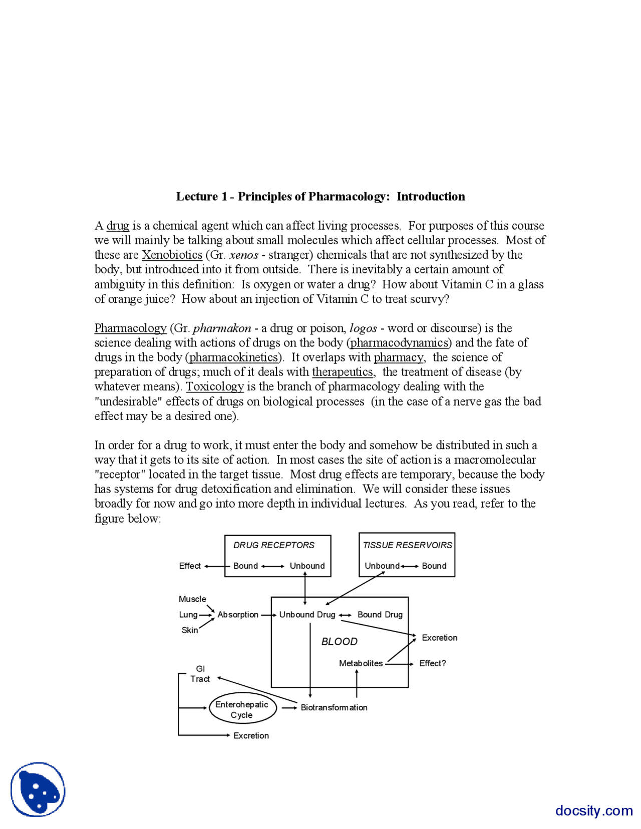 Principles of Pharmacology-Pathophysiology In Medicine-Lecture Notes ...