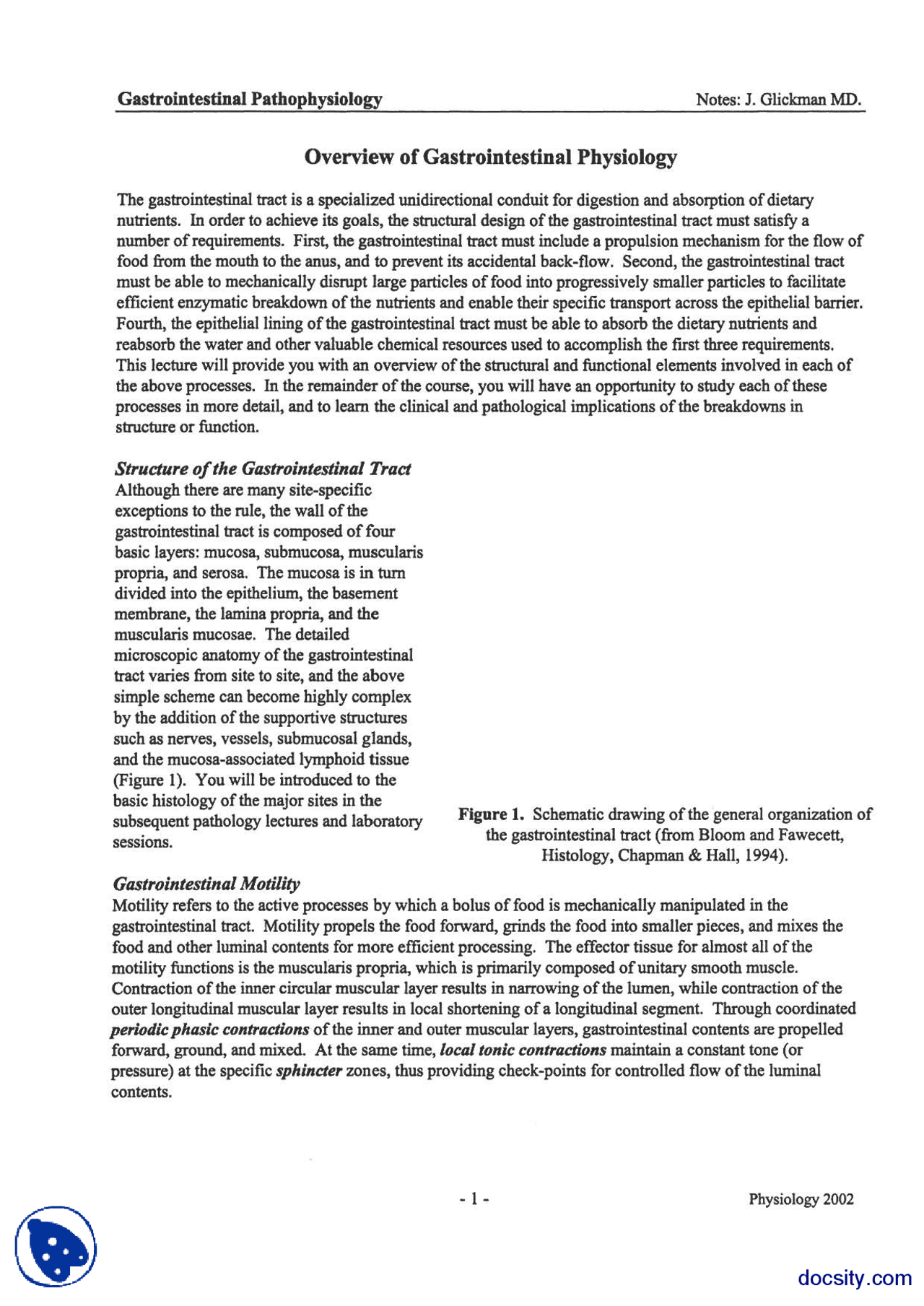 Overview Of Gastrointestinal Physiology Medicine And Pathophysiology