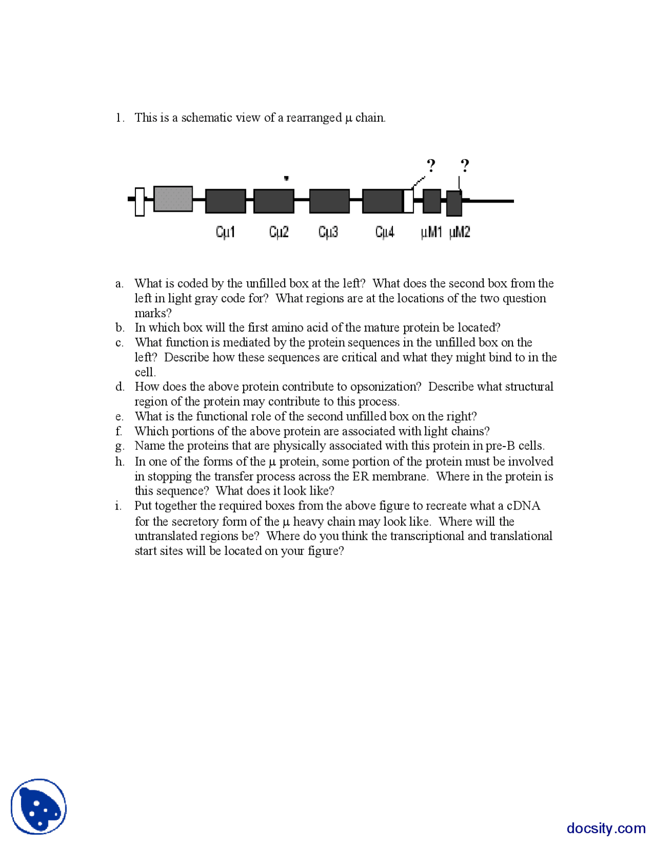 Protein Sequence Immunology Assignment Docsity