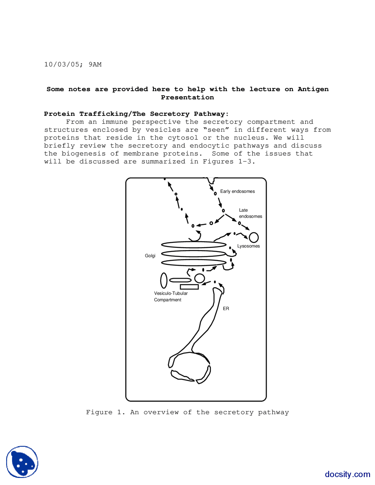 Antigen Presentation Part 2 Basics Of Immunology Lecture Handout Docsity