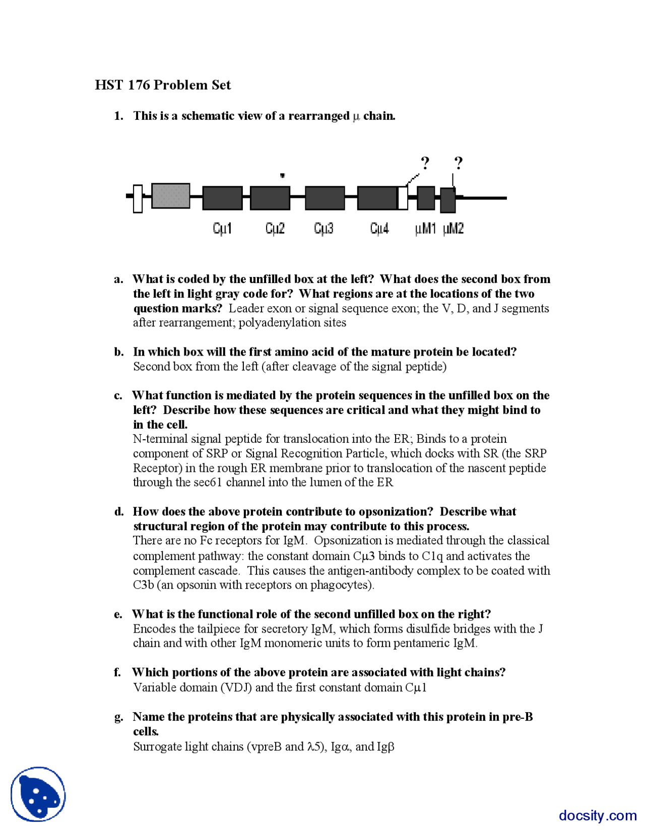 Protein Sequence Immunology Assignment Solution Docsity