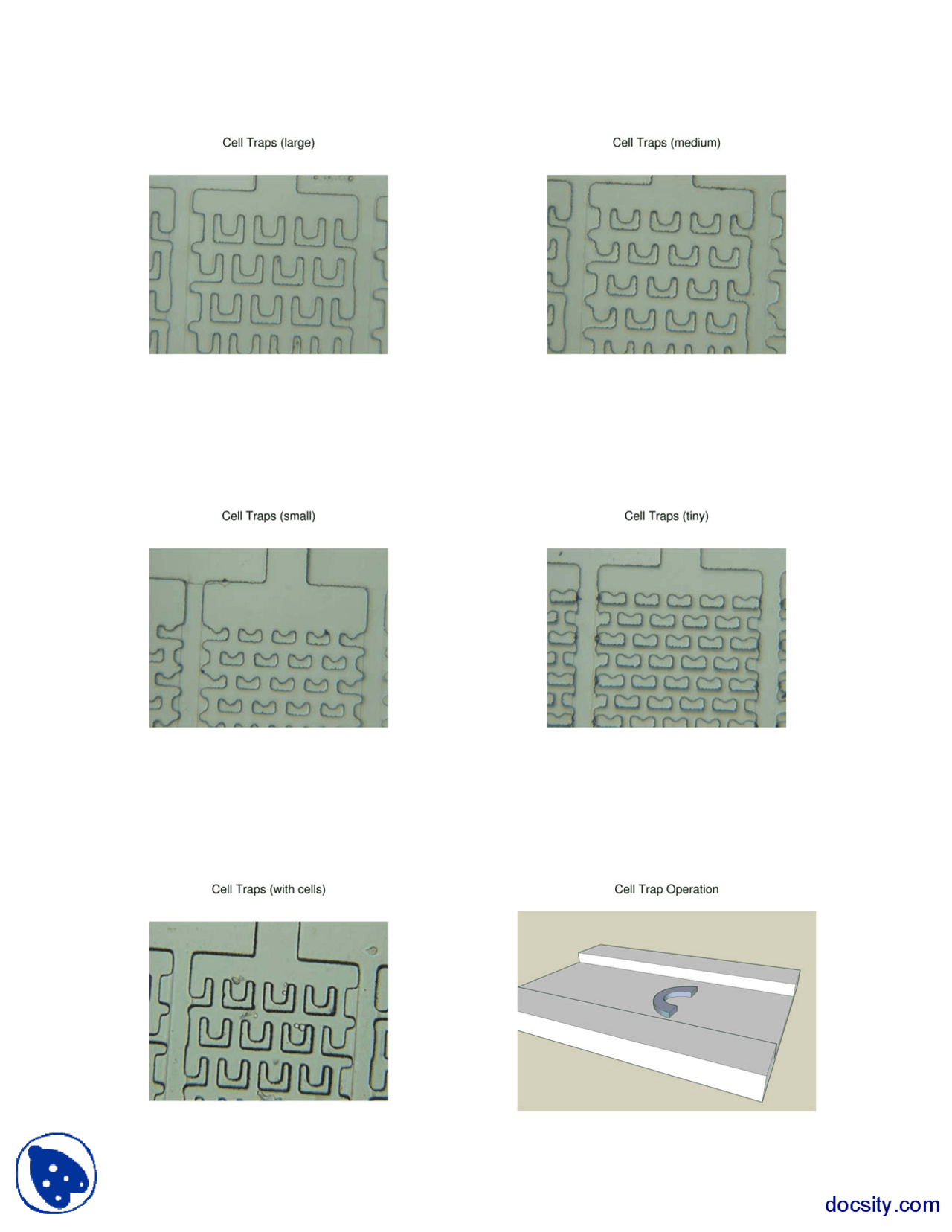 Cell Traps Micro Cellular Engineering Lecture Handout Docsity