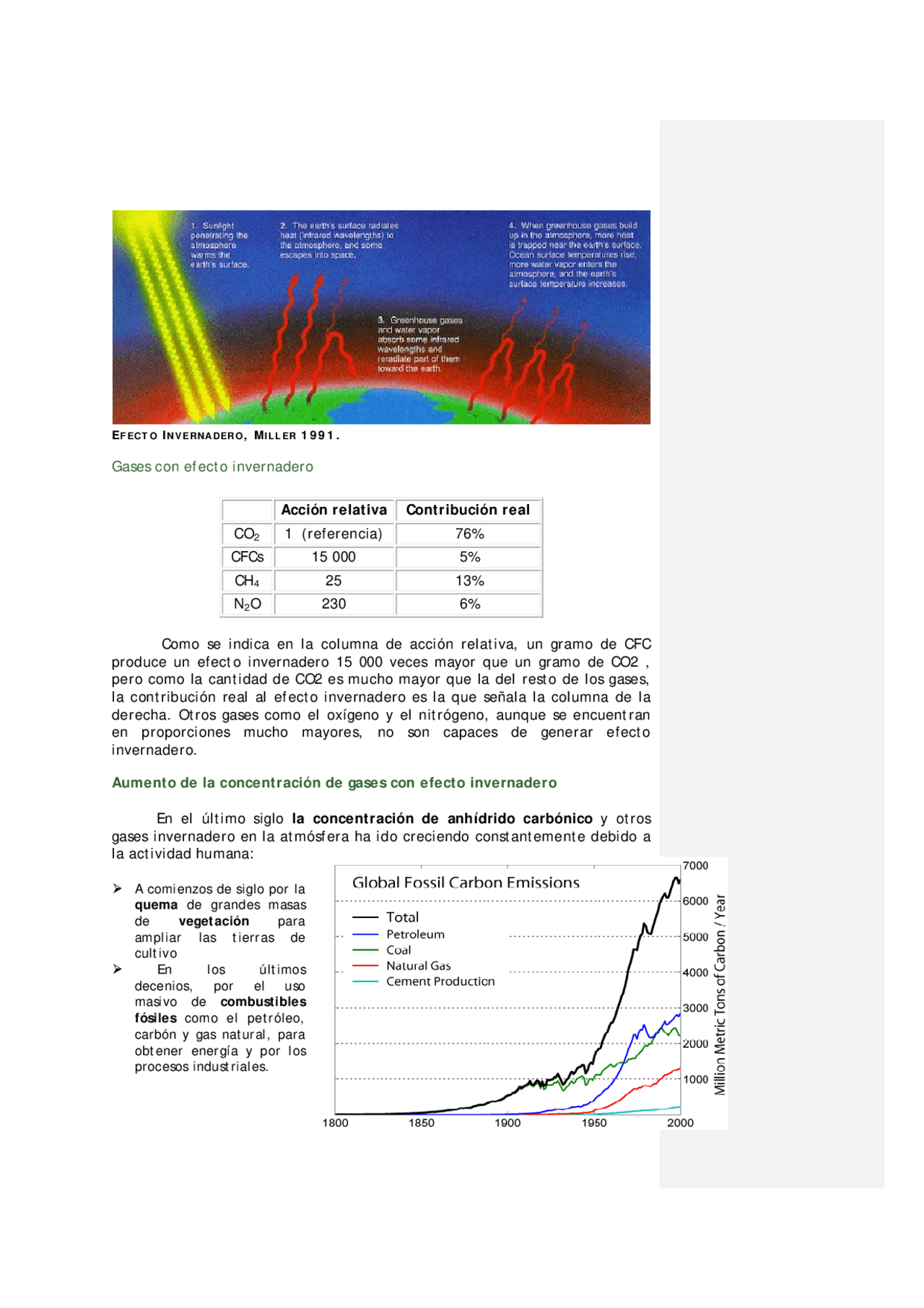 Ecología Y Medio Ambiente Apuntes Ecología Parte 4 Docsity