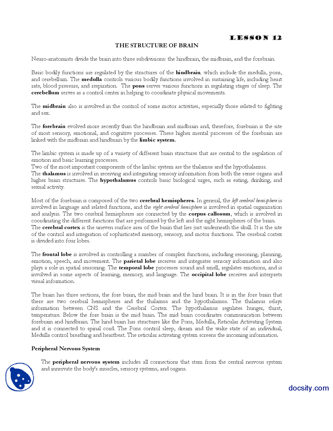 Structure Of Brain Abnormal Psycology Lecture Handout Docsity