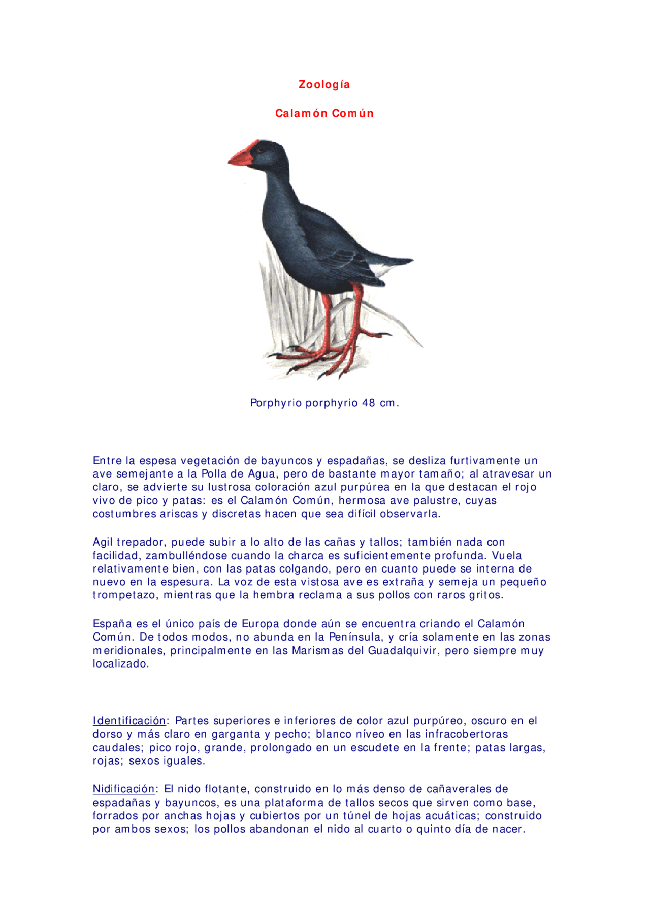 Calamon común - Apuntes - Zoología - Docsity