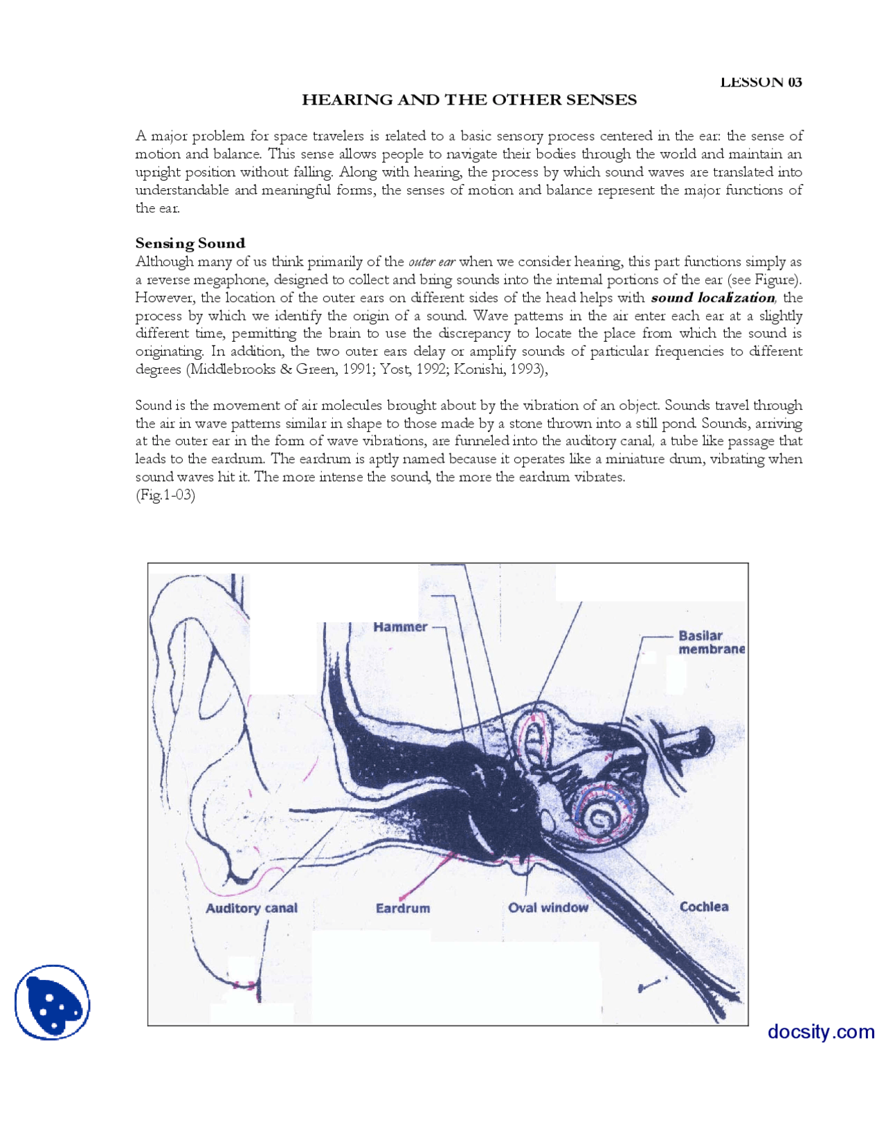 Sensing Sound And Other Senses Experimental Psycology Lecture Handout