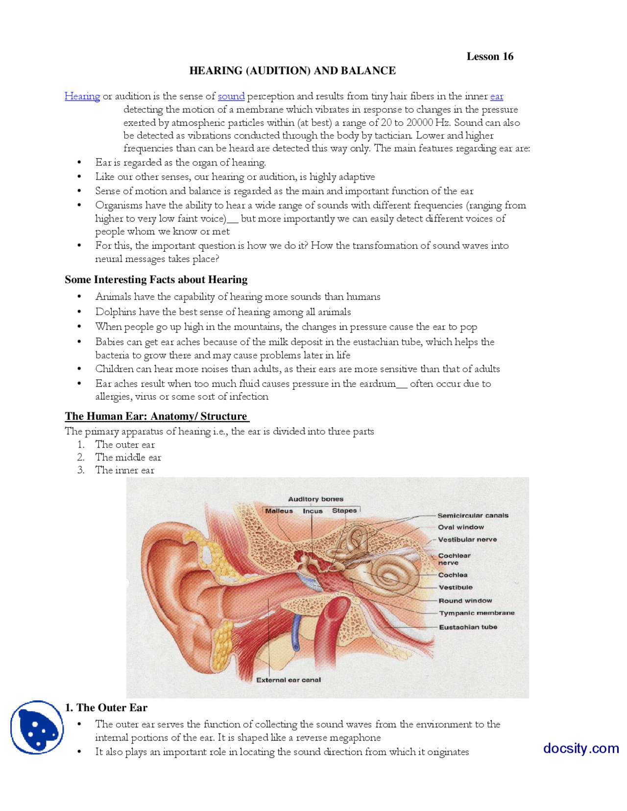 Hearing and Balance-Introduction to Psycology-Lecture Handout - Docsity
