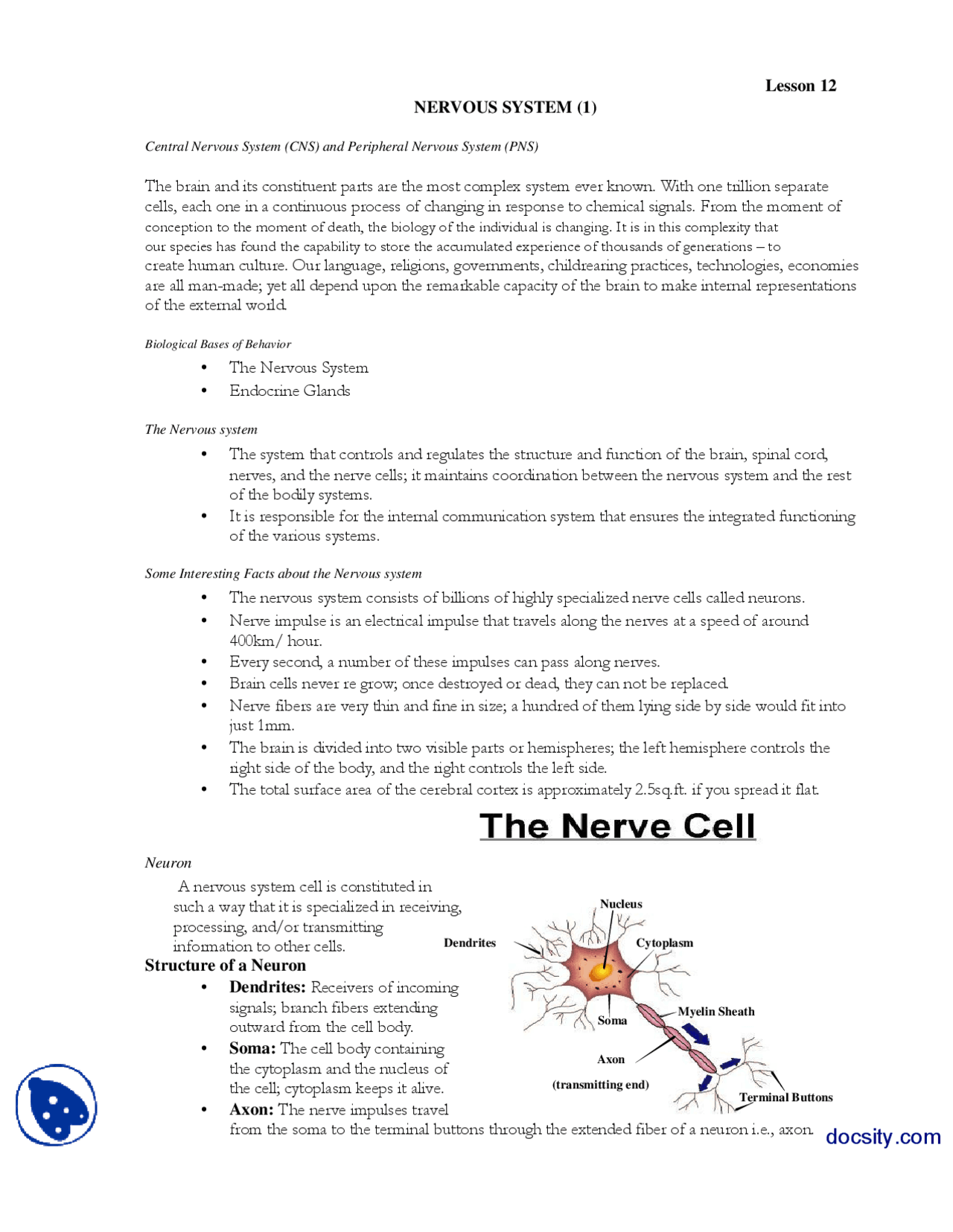 Nervous System I Introduction To Psycology Lecture Handout Docsity