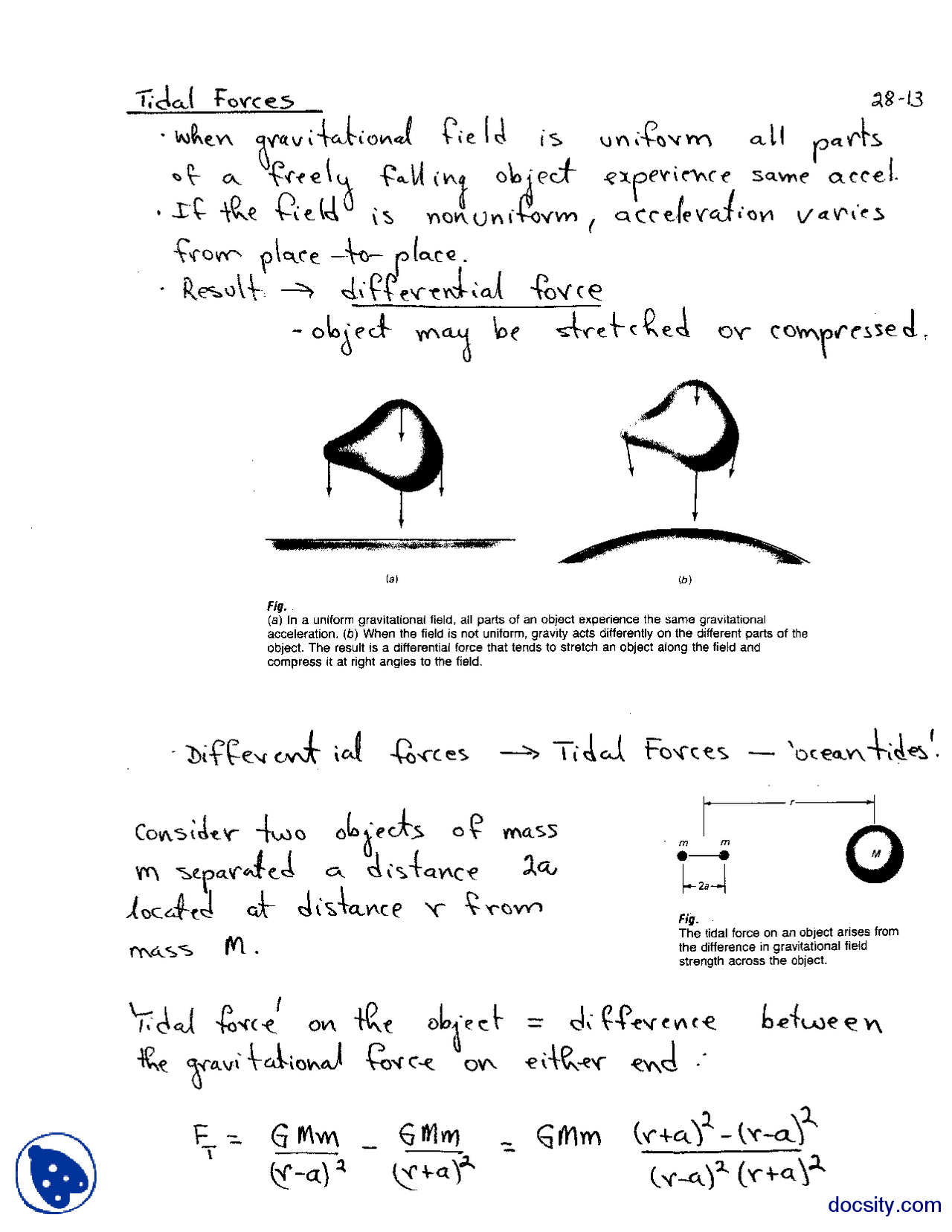 Tidal Forces-Physics-Lecture Notes - Docsity