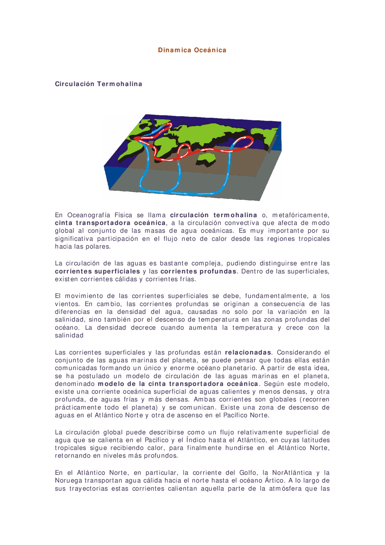 Circulación termohalina - Apuntes - Dinámica oceánica - Docsity
