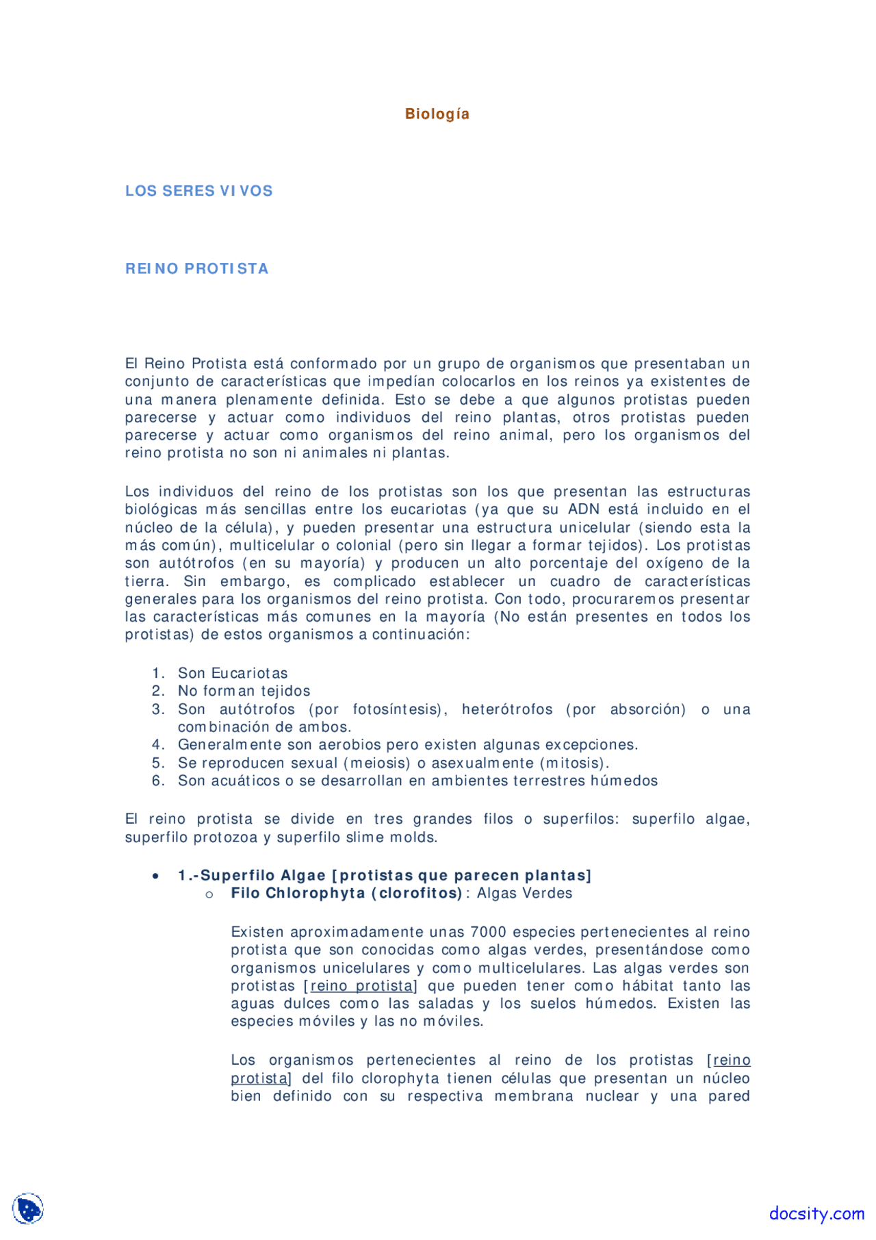 Reino Protista Los Seres Vivos Apuntes Biología Docsity