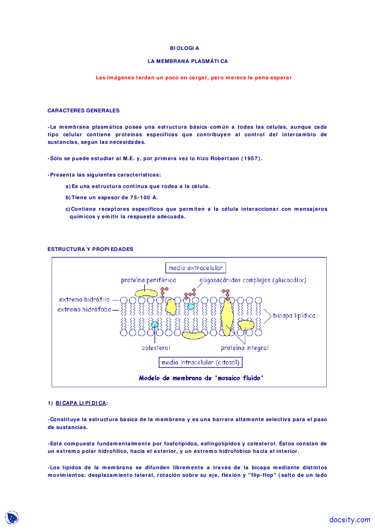 Membrana Plasmática Apuntes Biología Docsity