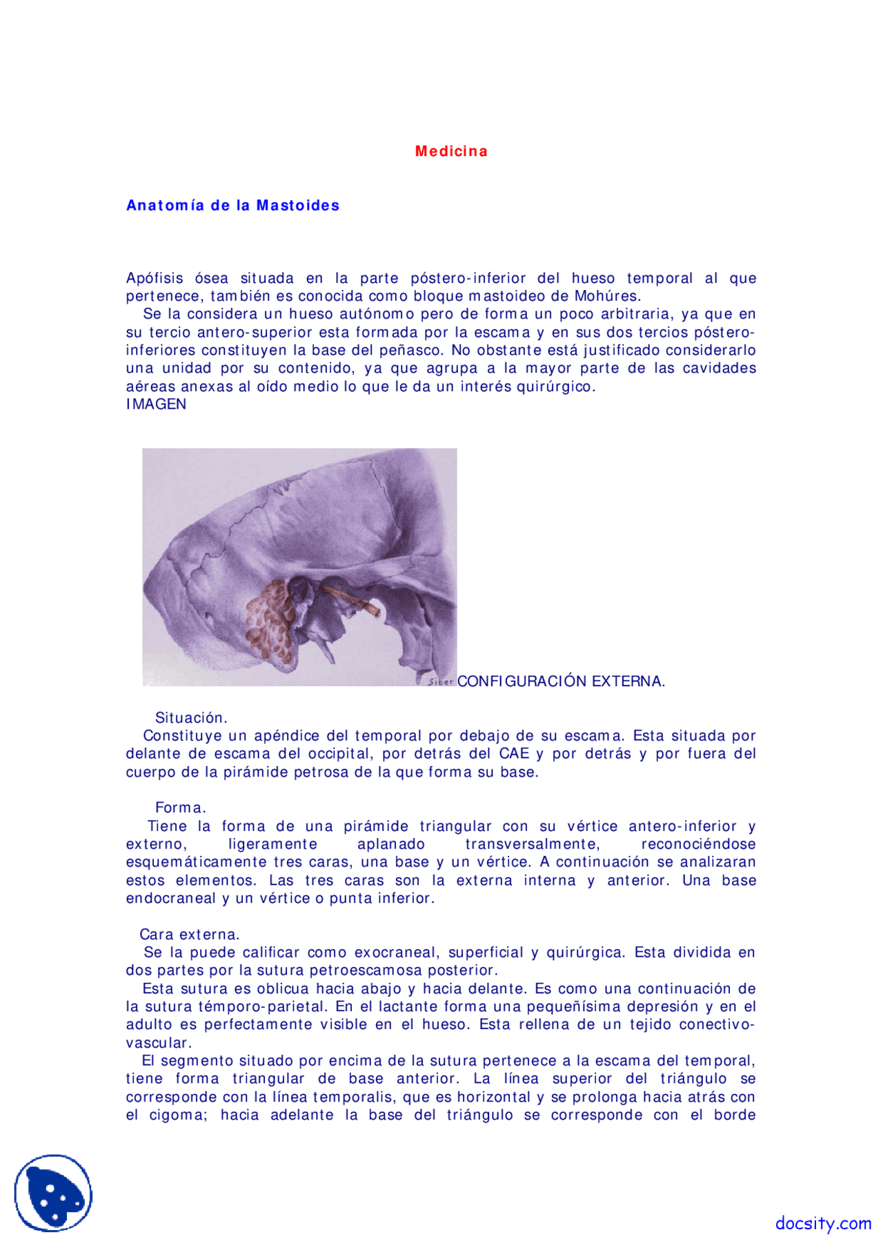 Anatomía de la mastoides – Apuntes – Medicina - Docsity
