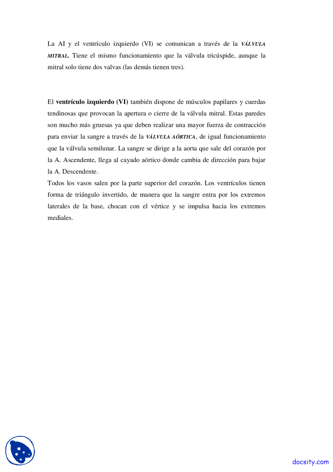 Anatomia Del Sistema Cardiovascular Apuntes Anatomía Parte 2